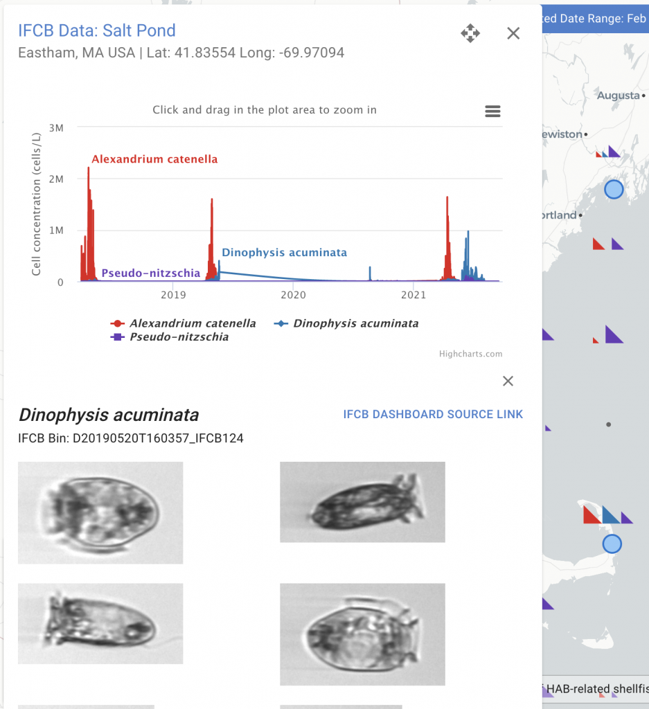 Create IFCB Data Graphs - Northeast HAB